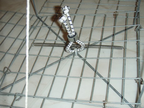 Crab Trap bait holders | Tidal Fish Forum